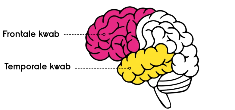 Wat gebeurt er in de hersenen bij dementie? | Alzheimer Nederland